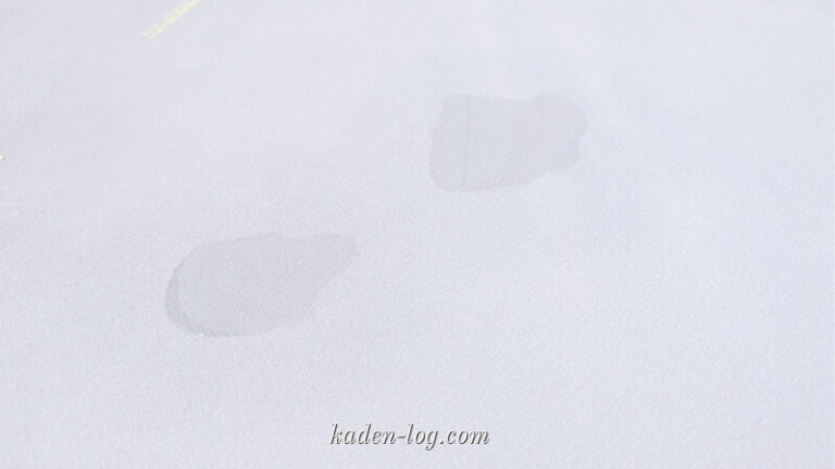 スマートバスマットレビュー！乗るだけ簡単！面倒くさがりでも続く体重管理？デメリットも正直解説